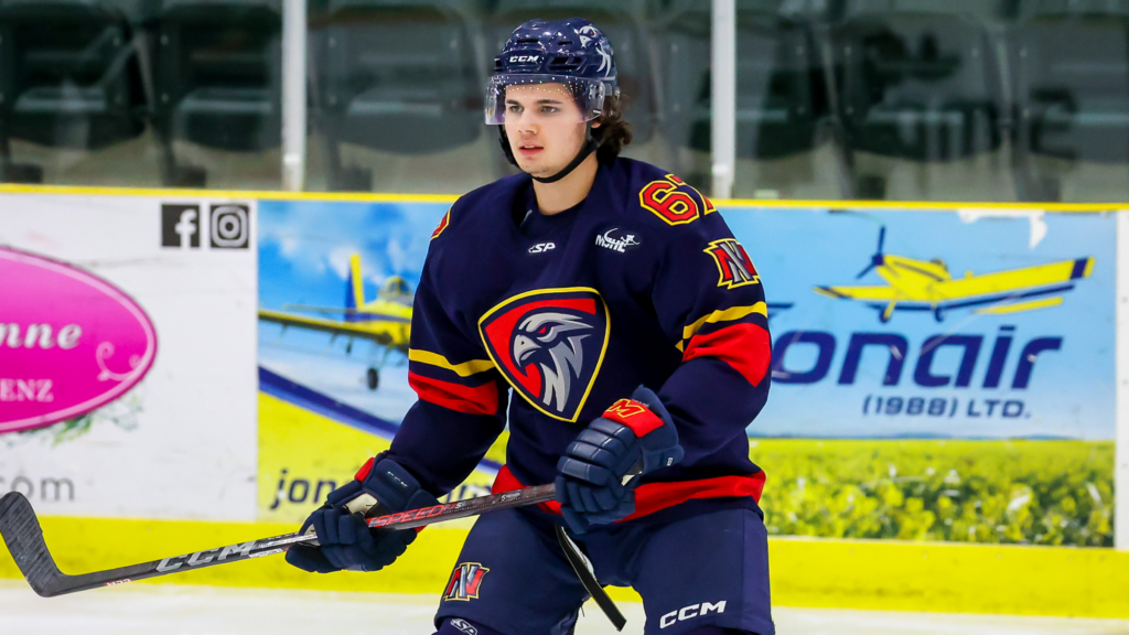 Desmond Johnson commits to Wentworth Institute of Technology | MJHL ...