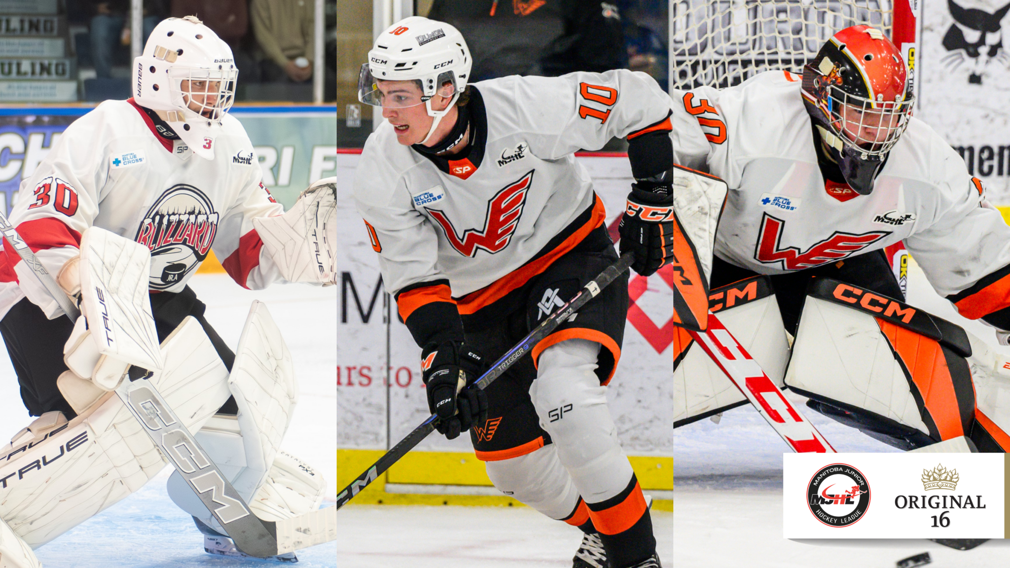 Original 16 Stars of the Week | Week 8 | MJHL | Official League Site