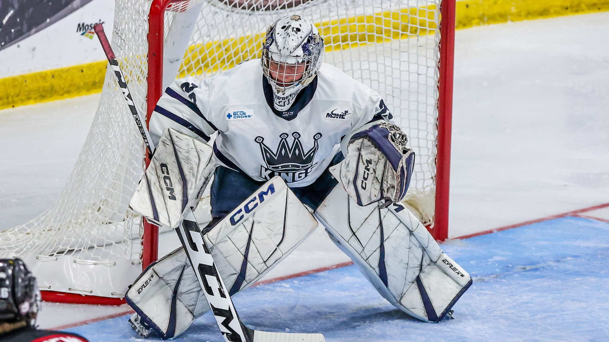 Cole Sheffield commits to Minnesota Duluth | MJHL | Official League Site